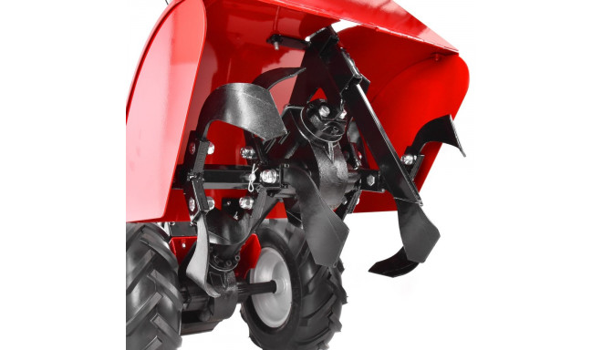 MULLAFREES HECHT 750 - Mullafreesid - Photopoint