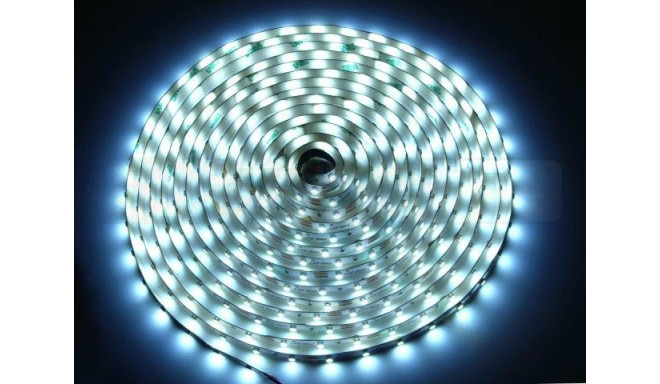 LED riba 60 LED/m SMD5630 24V SAMSUNG, 6500K külm valge, LED line - LED ...