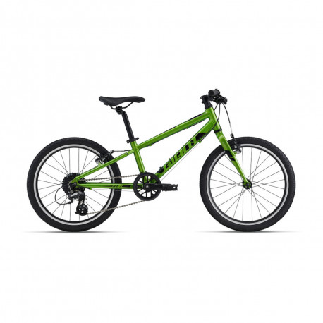 Laste jalgratas Giant ARX 20" Metallic Green, 6-8-aastasele - Electric ...