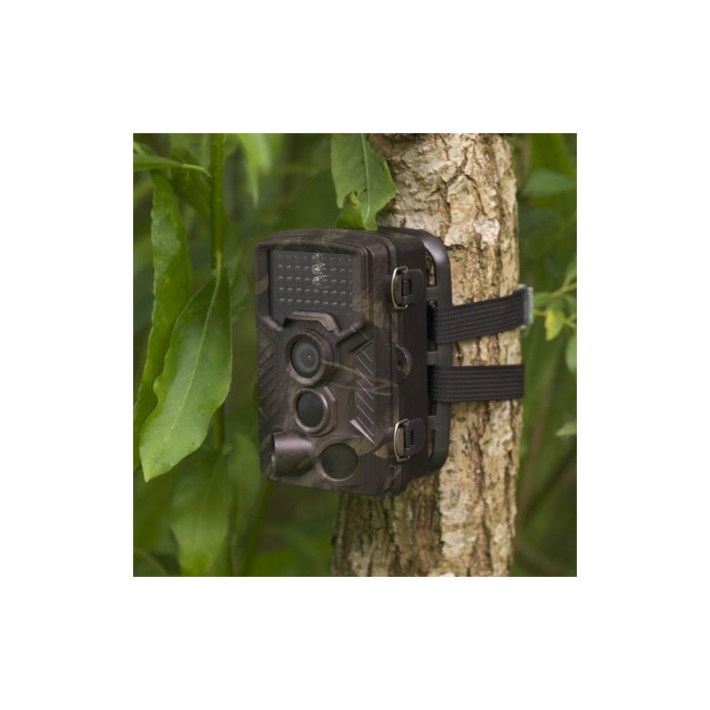 Denver Digital wildlife camera with 2G/GSM - MMS/GPRS function & 8 ...