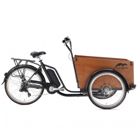 Elektriline kastiratas Cangoo Easy hall - Elektrilised jalgrattad ...