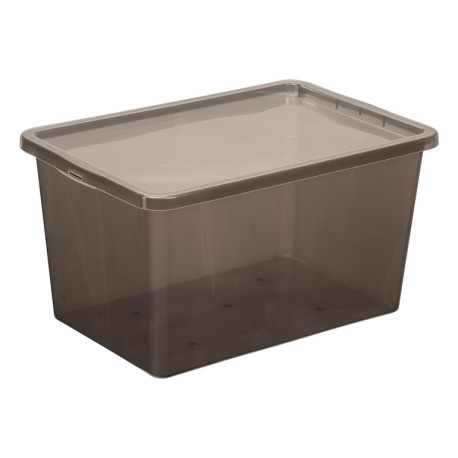 COLOR BOX52L TRANSLUCENT GREY - Ladustuskarbid - Photopoint