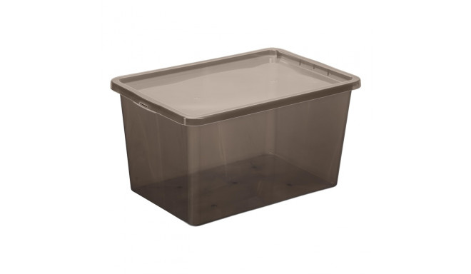 COLOR BOX52L TRANSLUCENT GREY - Ladustuskarbid - Photopoint