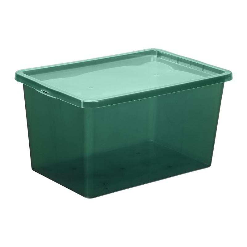 COLOR BOX20L TRANSLUCENT GREEN - Ladustuskarbid - Photopoint