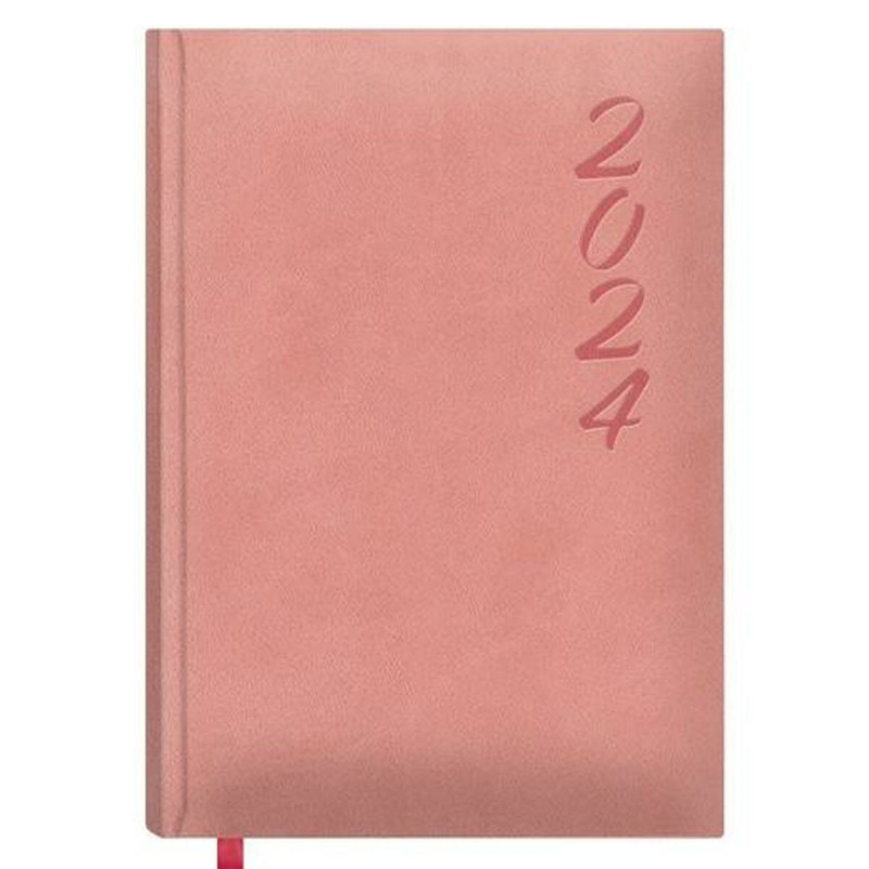 Diary BRASILIA DOHE 2024 Annual Pink 15 x 21 cm - Diaries and notebooks ...
