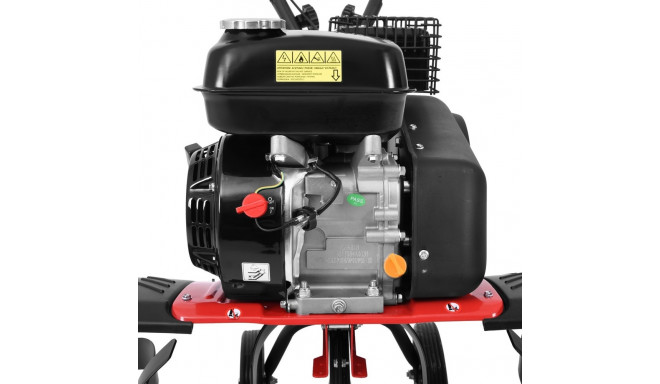 MULLAFREES HECHT 785 - Mullafreesid - Photopoint