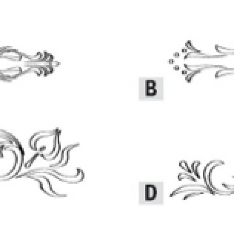 CARVER TEMPLATE STRUCTURE FOR DOOR RAILS AND STILES - Nikerdusšabloonid ...