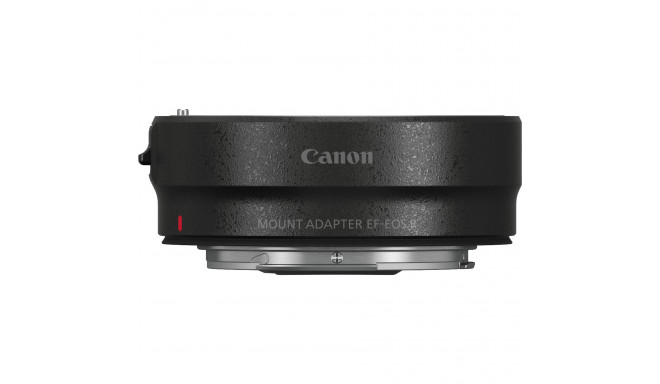 Canon EOS R8 + RF 800mm f/11 IS STM + Mount Adapter EF-EOS R ...