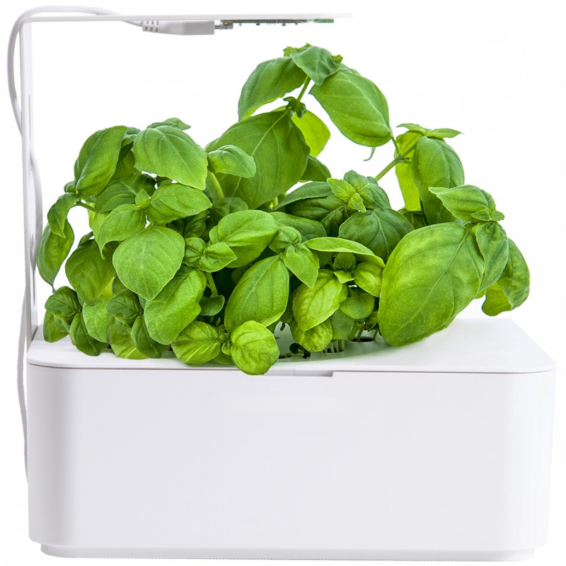 Click & Grow Smartpot Grow Light (idanduslamp) - Tsitrusepressid ...