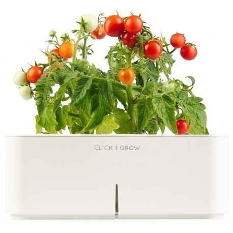 Click & Grow Smartpot Mini-tomato - Plant pods for smart gardens ...